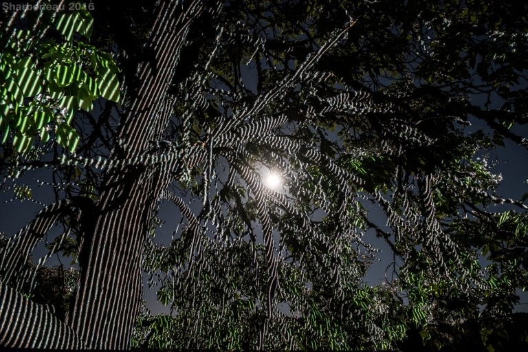 Photo Extremist - Trick Photography TutorialsPhoto Extremist | Trick ...